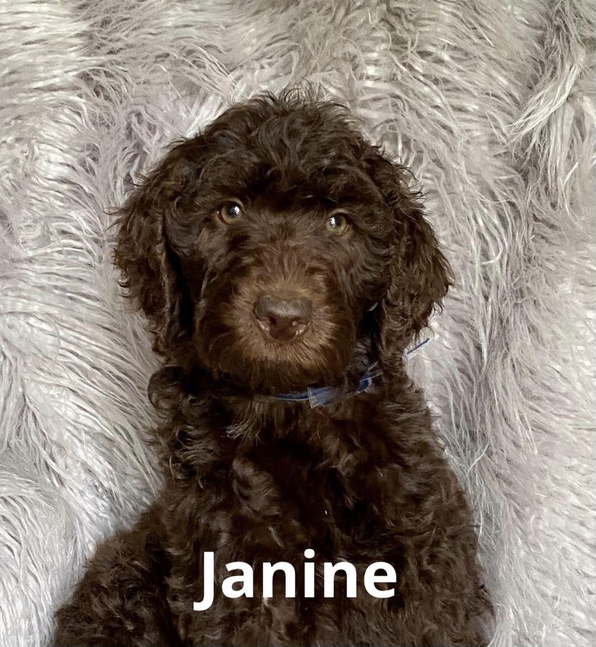 Meet Janine!
